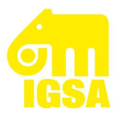 MS Montacargas | Plataformas de Elevación